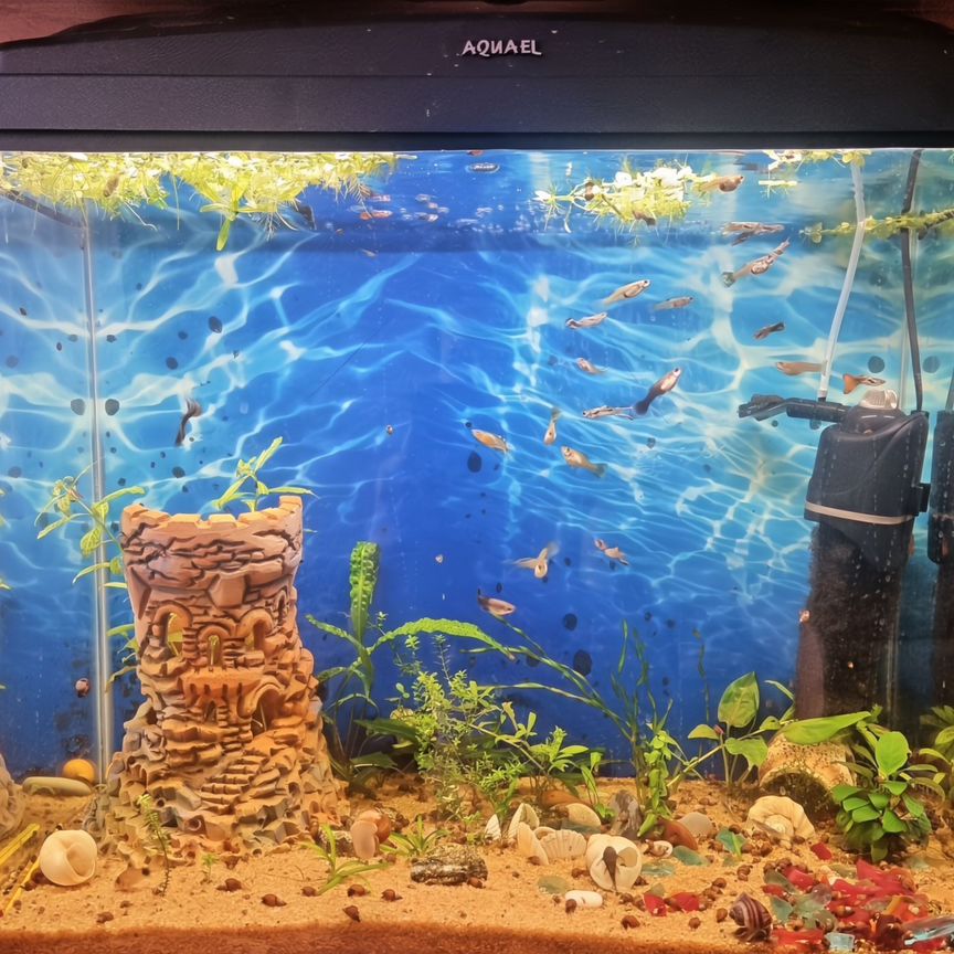 Аквариум