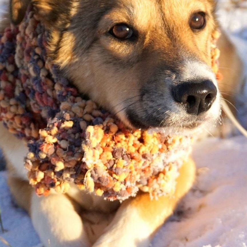 Преданность и верность