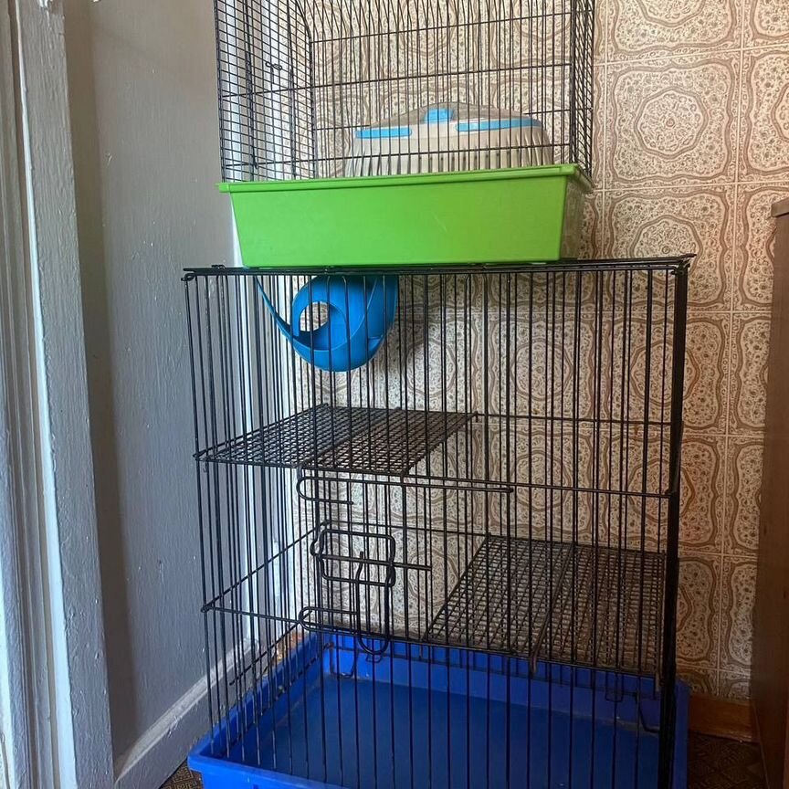 Клетка и переноска для грызунов