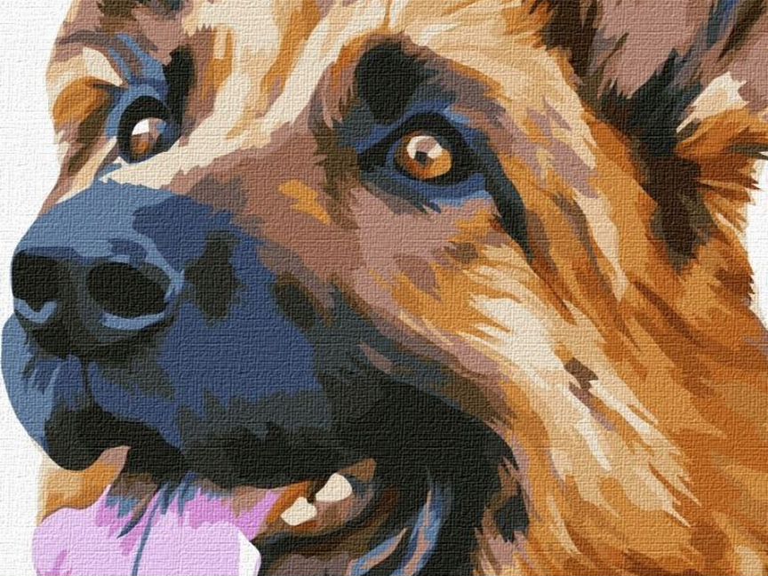 Щенкам месяц