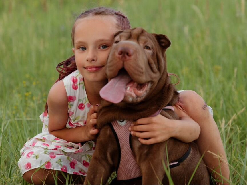 Отдам в хорошие руки собаку