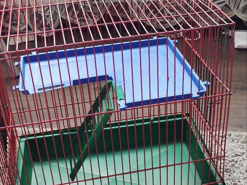 Клетка для грызунов бу