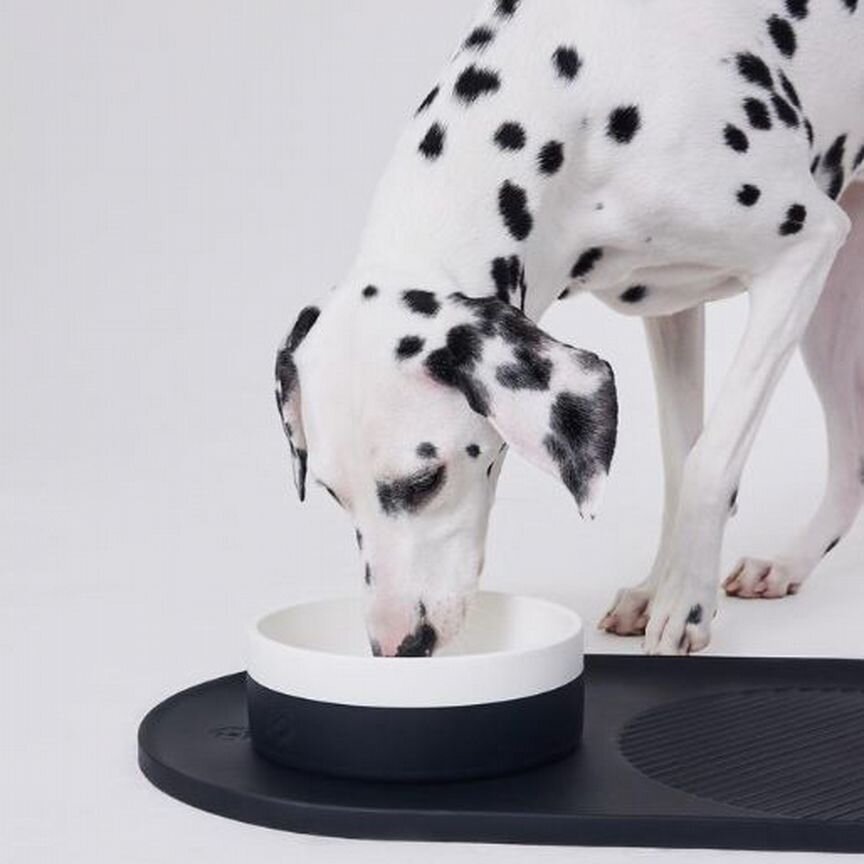 Миска для собак