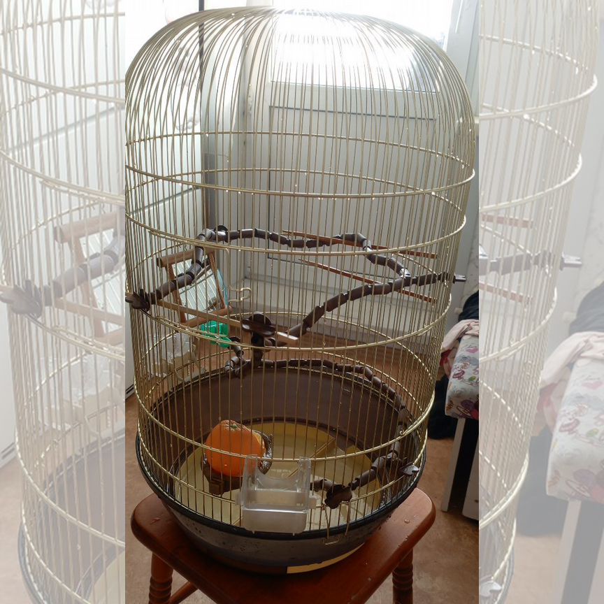 Клетка для попугая бу