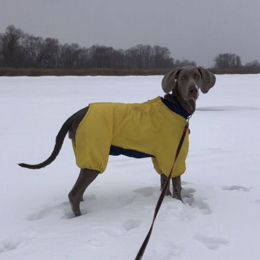 Куртка для крупных собак