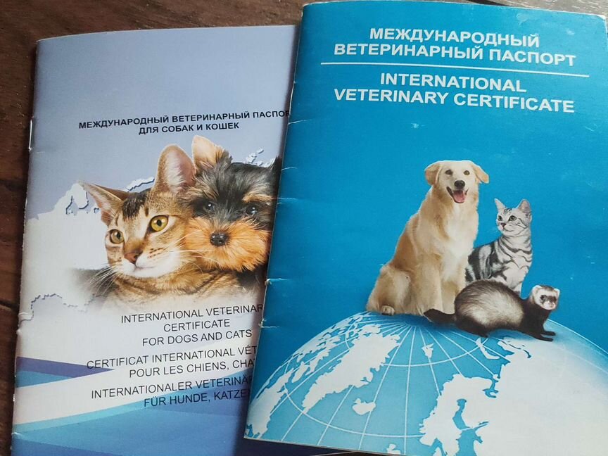 Международный ветеринарный паспорт