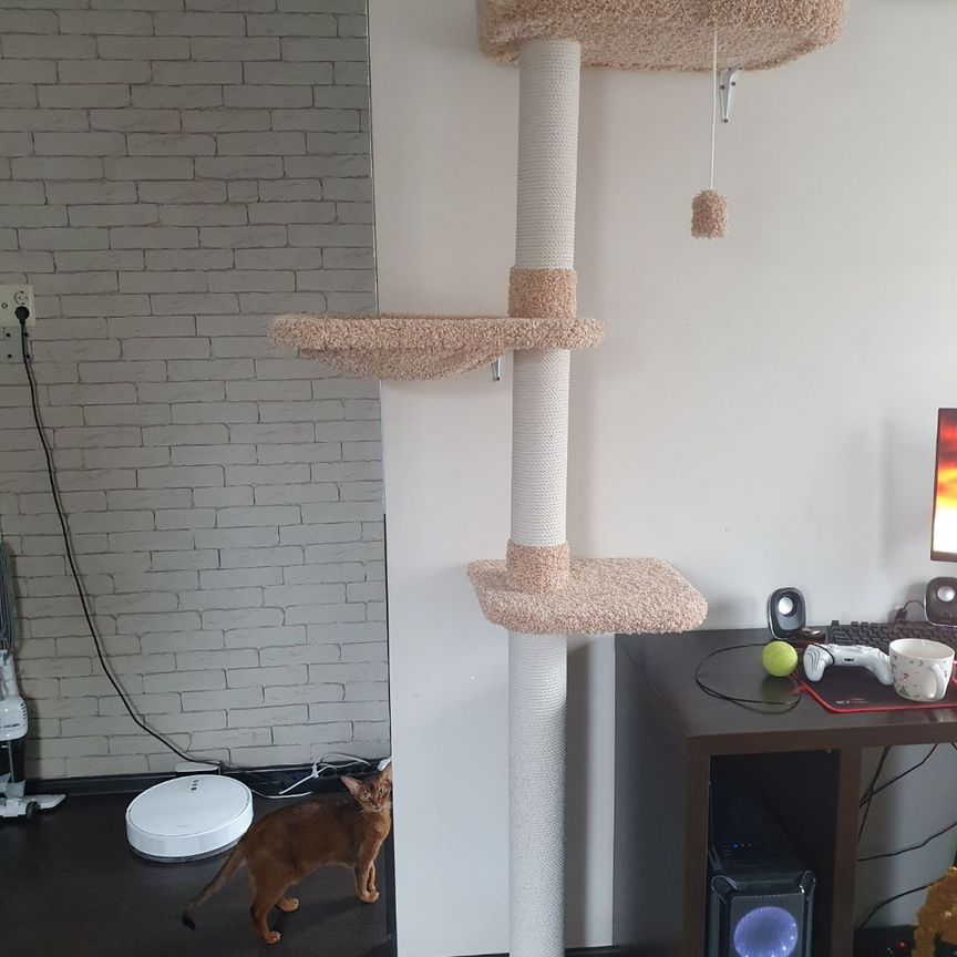 Когтеточка для кошек
