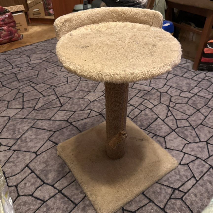 Когтеточка