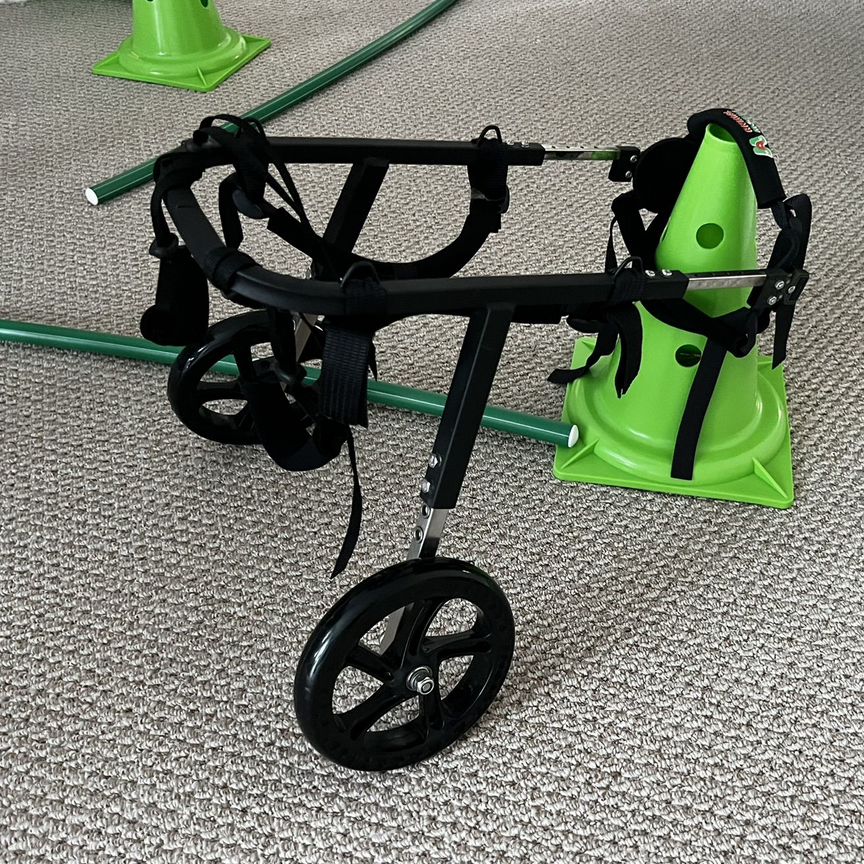 Коляска для собак Animal Mobile