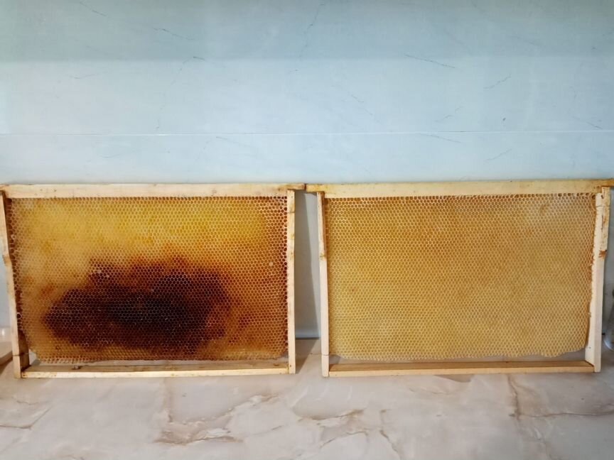 Рамки с сушью для ульев