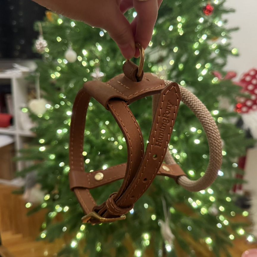 Шлейка кожаная Hunting Pony S