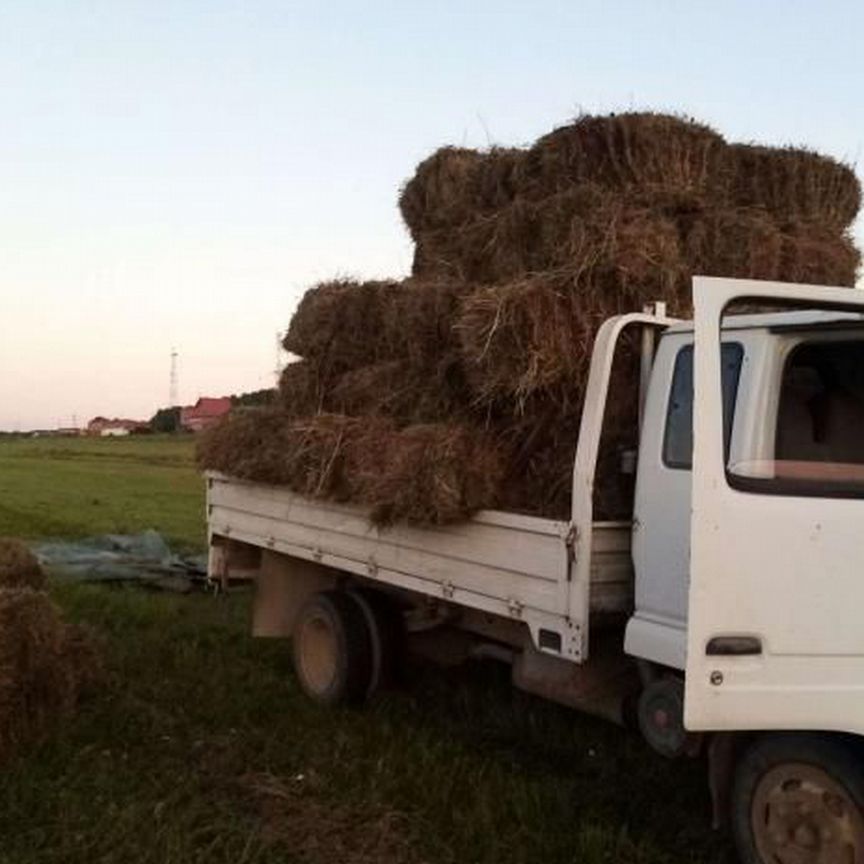 Сено в брикетах