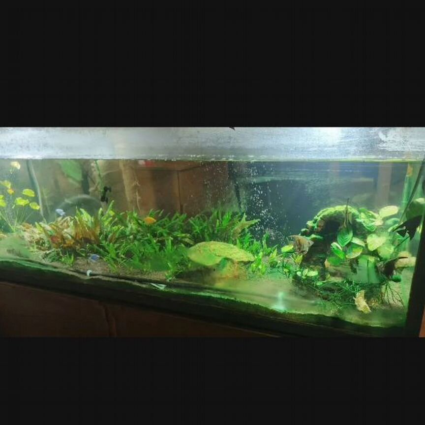 Аквариум 300 литров