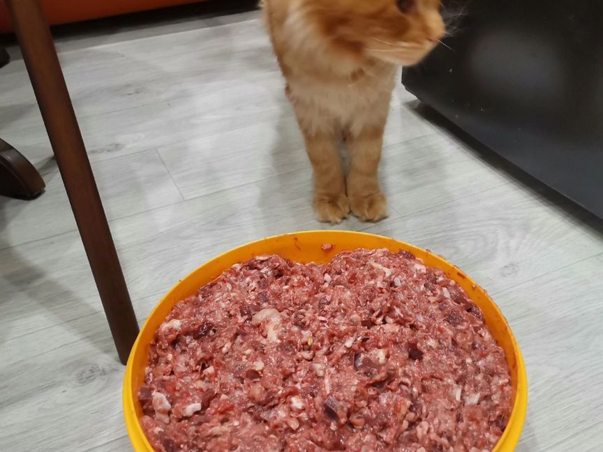 Мясной микс для кошек и собак