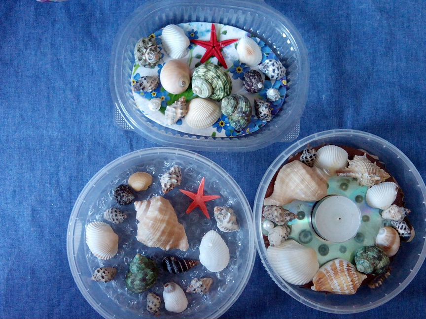 Наборы ракушек для аквариума и поделок