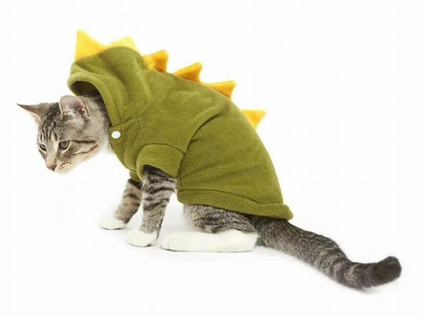 Пошив под заказ костюм дракона