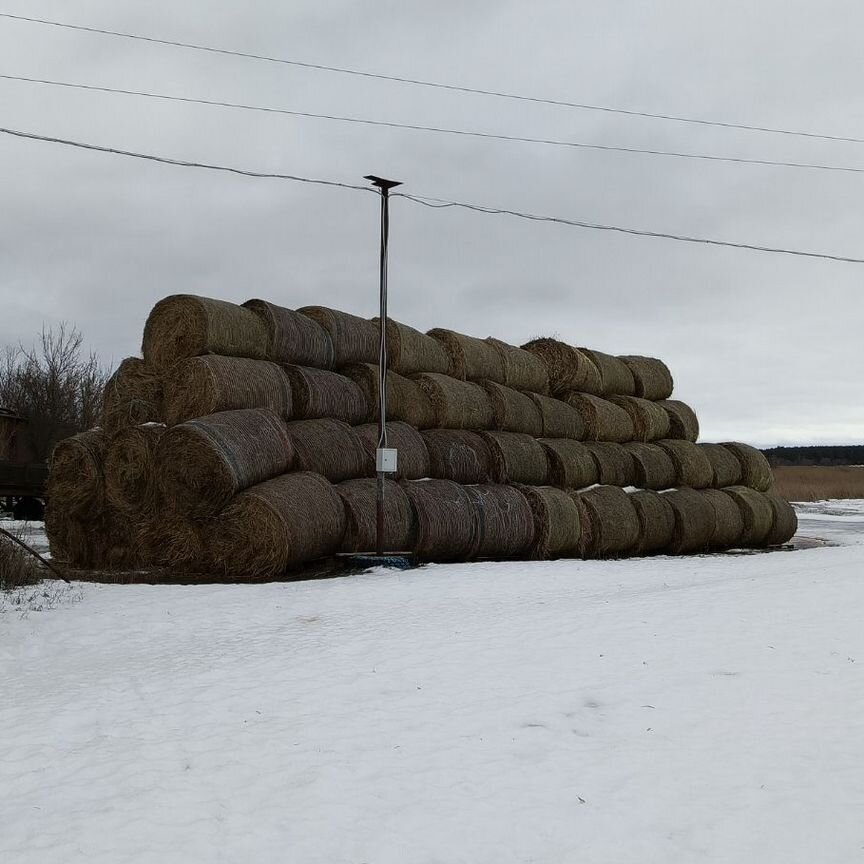 Продам сено в рулонах