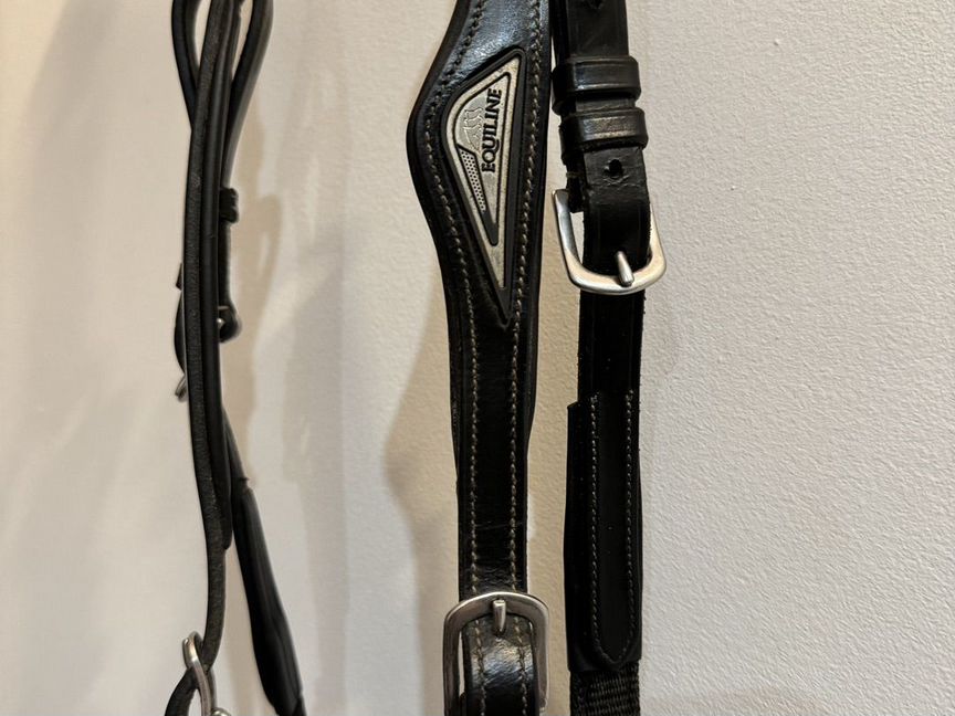 Подперсье equiline с мартингалом черный full