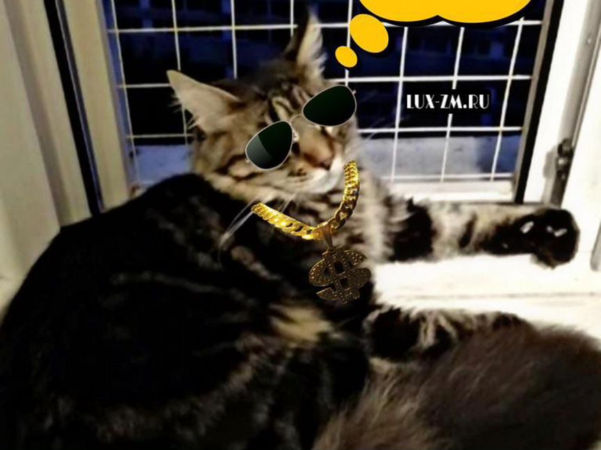 Решетка антикошка