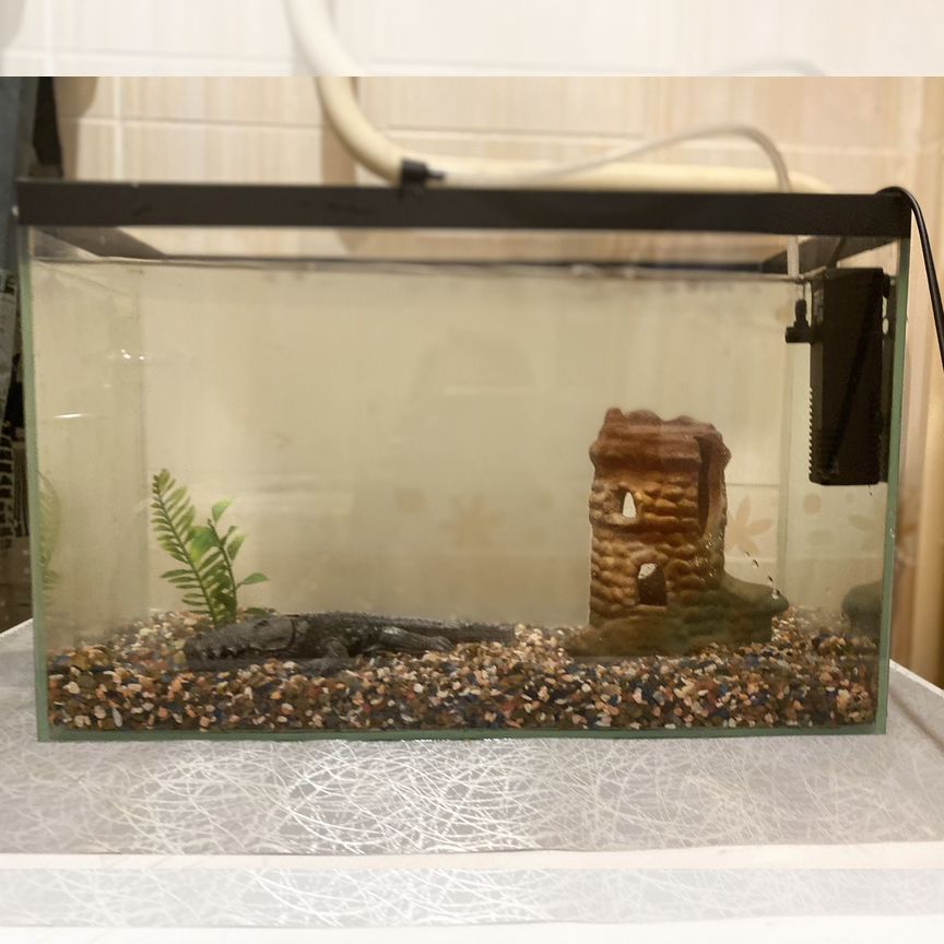 Продам аквариум с рыбками