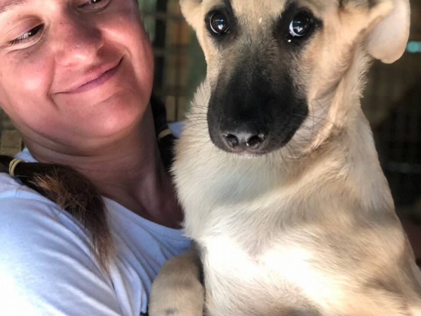 Щенок Лимон в добрые руки