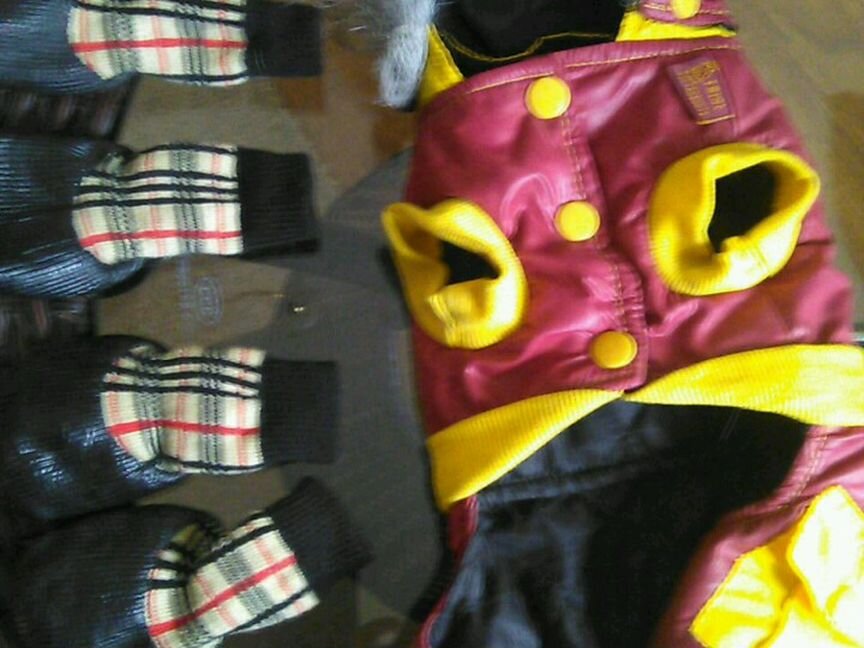 Комбинезон и сапожки