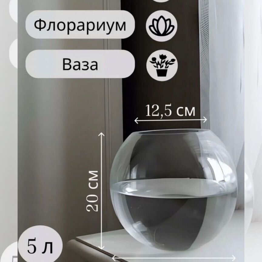 Круглый аквариум, флорариум