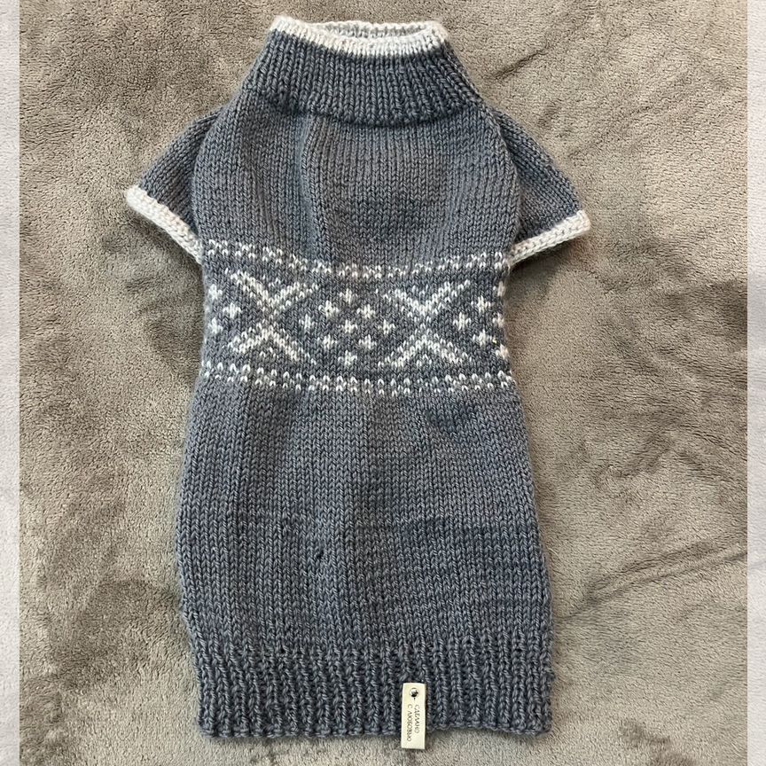 Одежда для собак