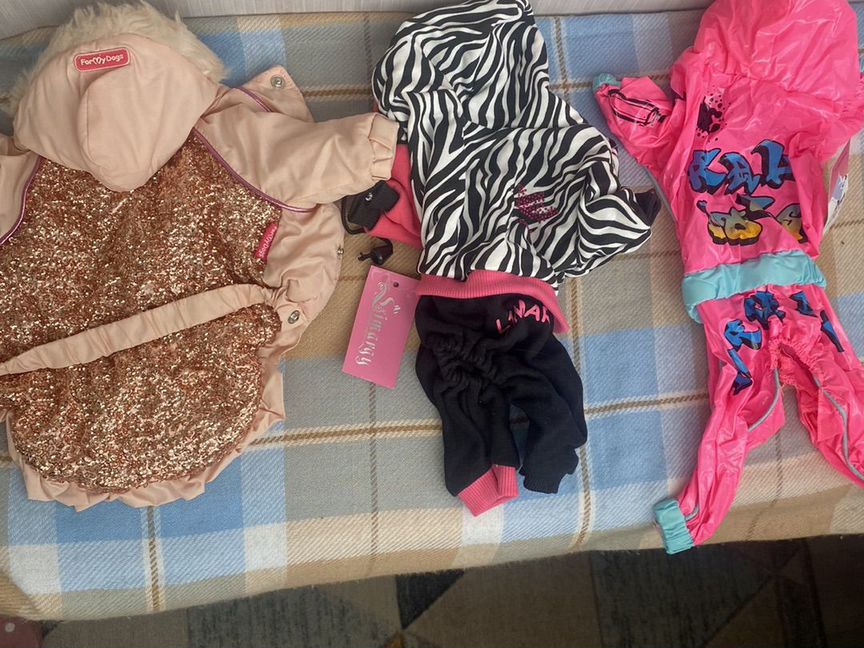 Комбинезон для маленькой собаки