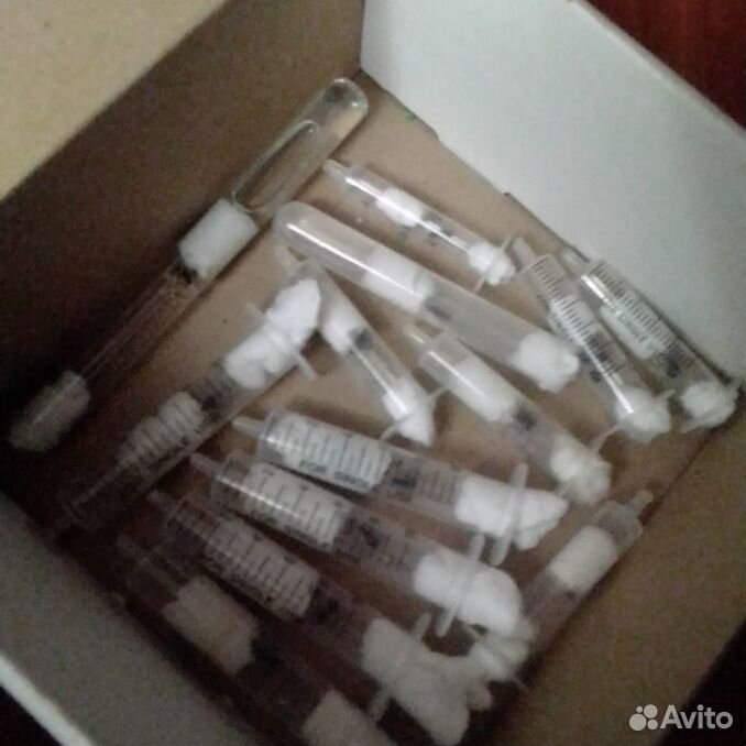 Матки муравьёв