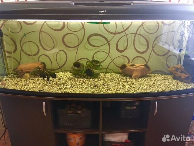 Аквариум