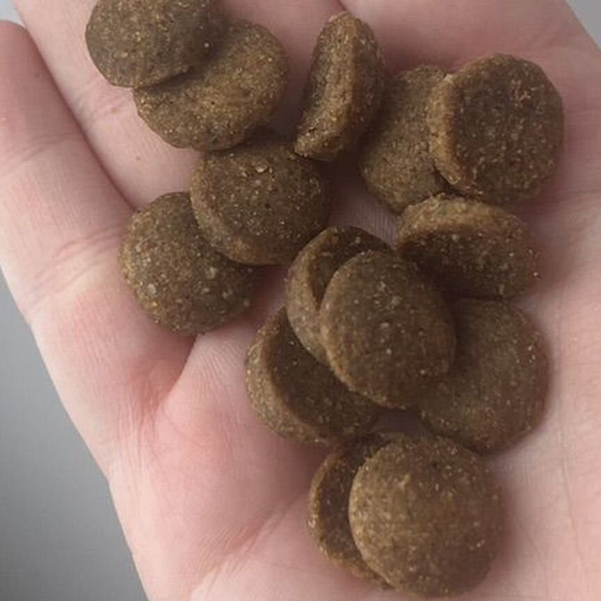 Корм для собак премиум сегмента