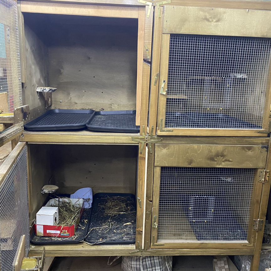 Клетка вольер для куньих