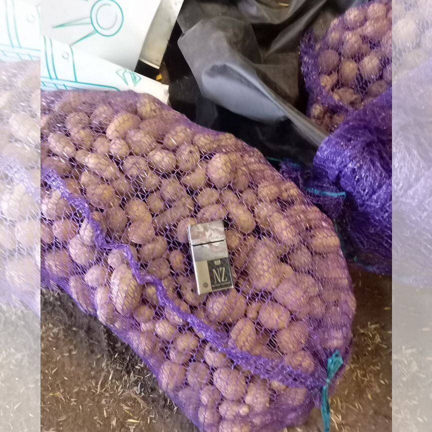 Картофель мелкий на корм скоту