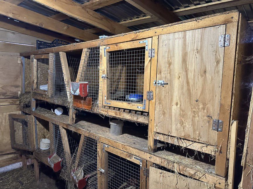 Клетки для кроликов