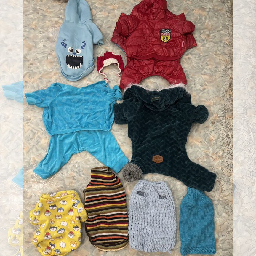 Одежда для собак мелких пород