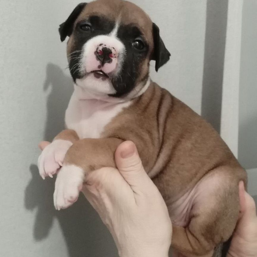 Суперский мальчик