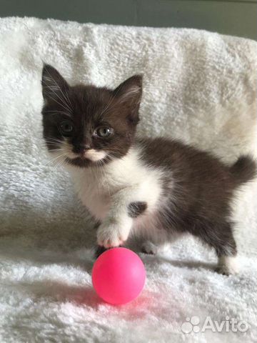 Четвёрка-мини