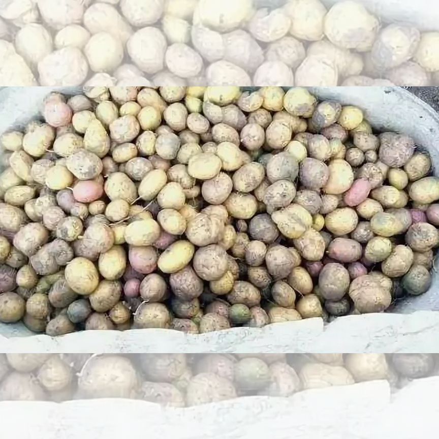 Картофель мелкий