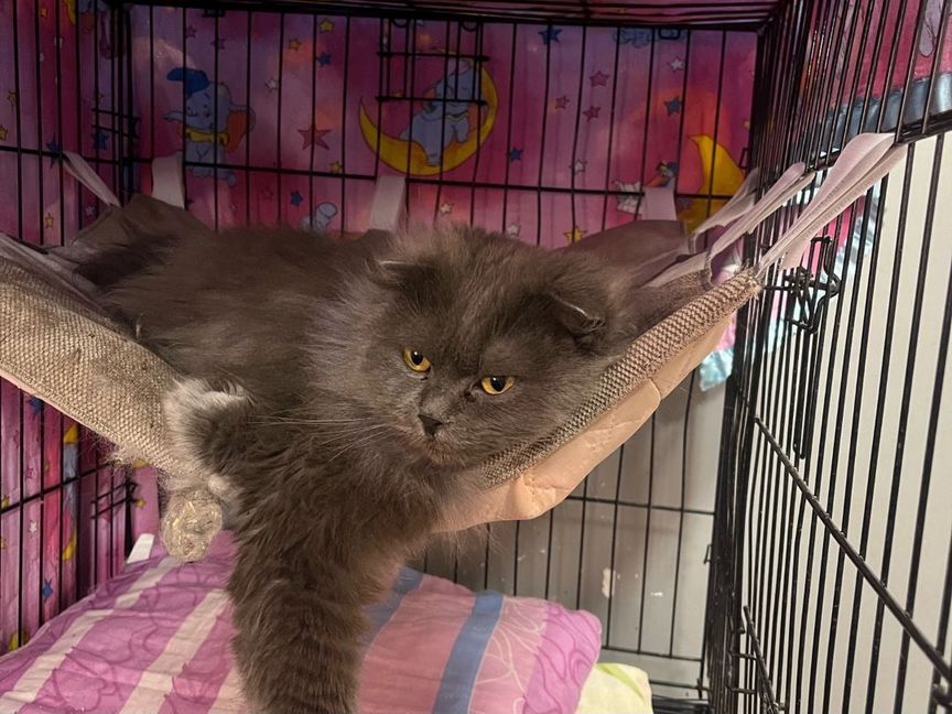 Красавица зена ищет свою семью