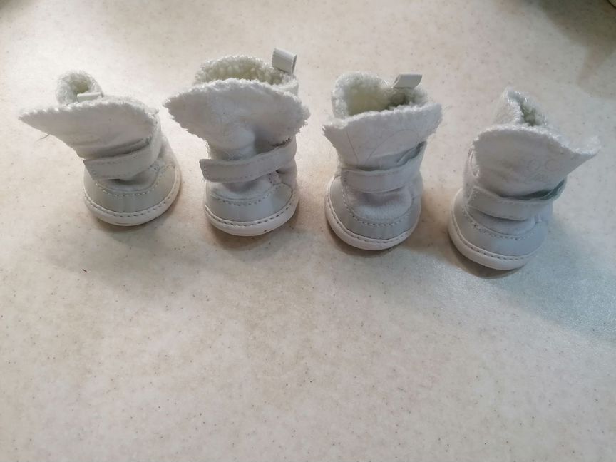 Угги twins для собак мелких пород