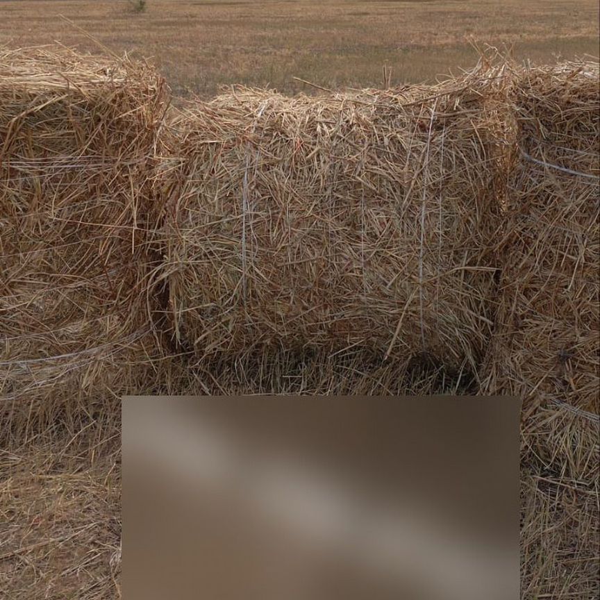 Сено в рулонах