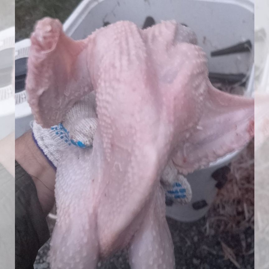 Перосъемная машина