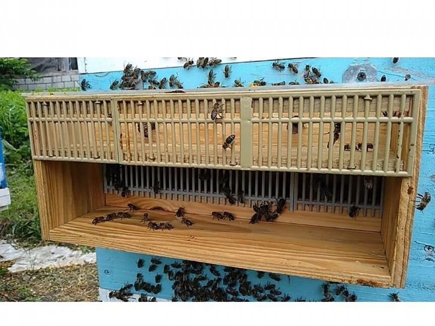 Матколовка