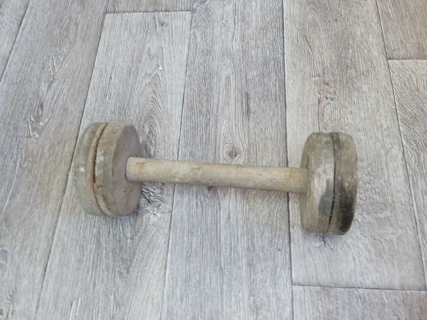 Снаряд для собаки