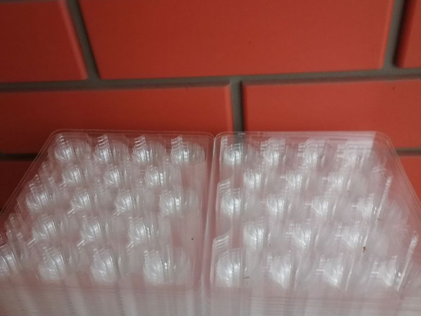 Упаковка для перепелиных яиц