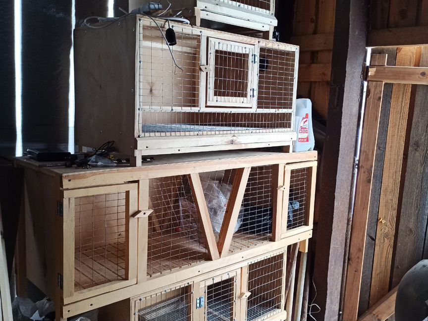 Клетка для цыплят, бройлеров, гусей, индюшат и др