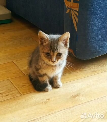 Не известно