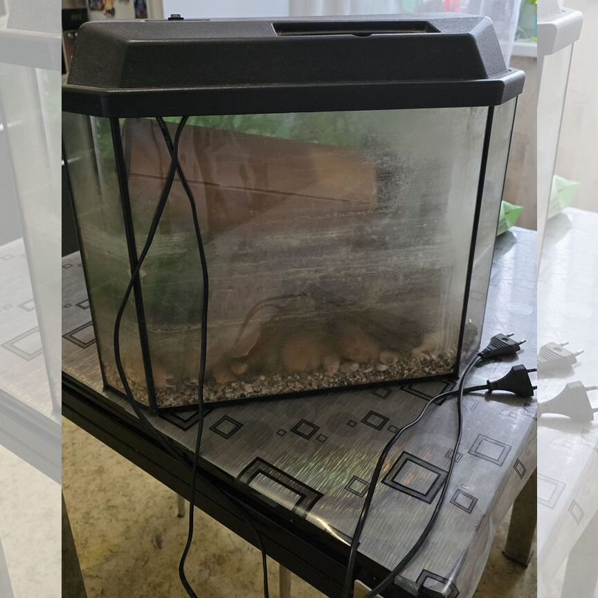 Аквариум для рыбок бу с лампой