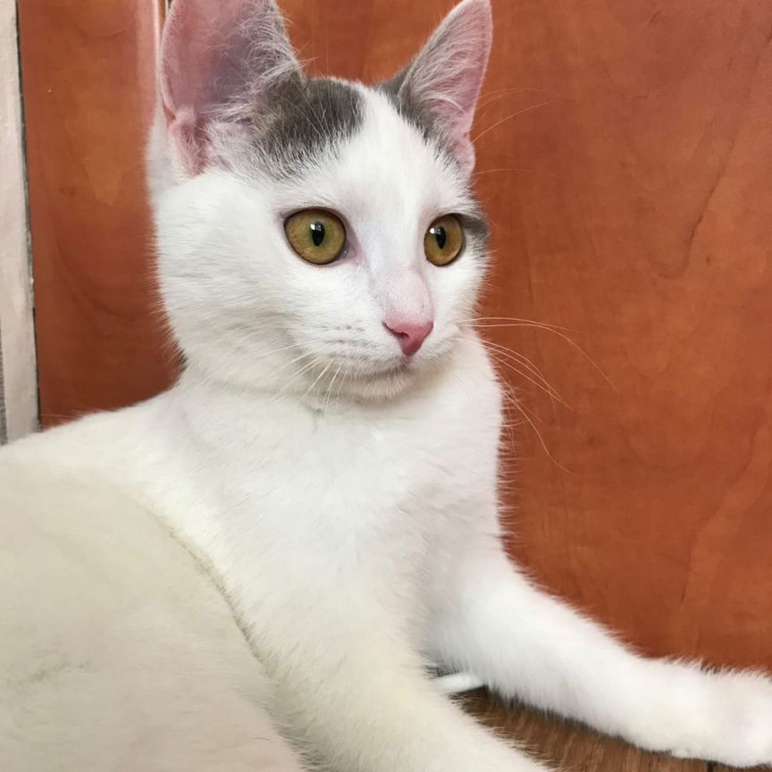 Манечка - сама нежность